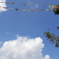 Publications – Asmita Kabra